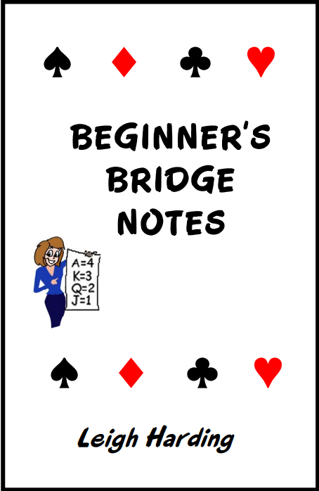 Learn MiniBridge